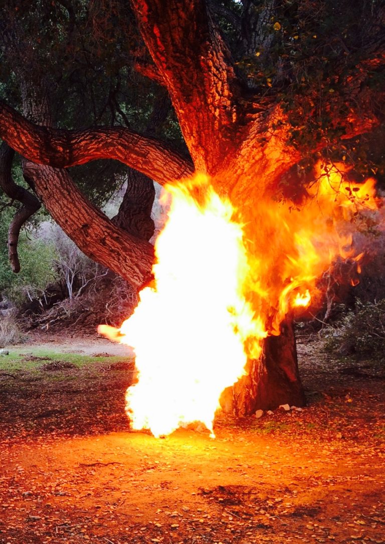 Cyrstal Michelle Fireburn - Artemis Women In Action Film Festival